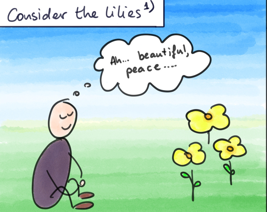 Considering contemplation - Considering Lilies
